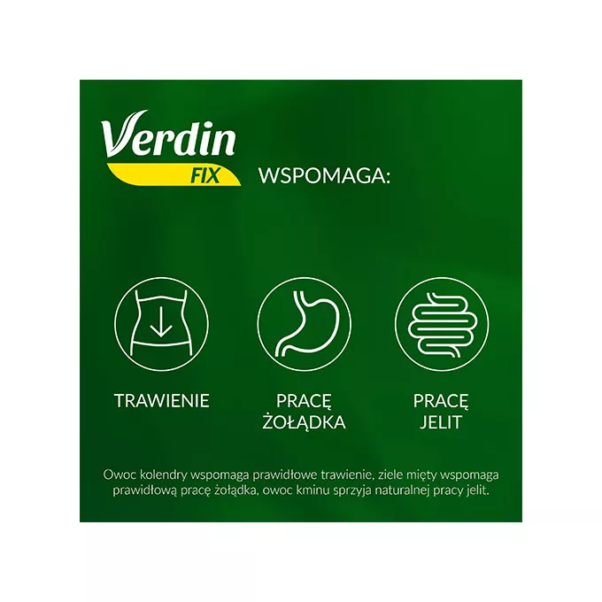 Verdin Fix z zieloną herbatą - saszetki, 20 sztuk - skład, cena, opinie ...