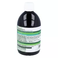 Chlorofil – właściwości lecznicze i zastosowanie | iZielnik.pl