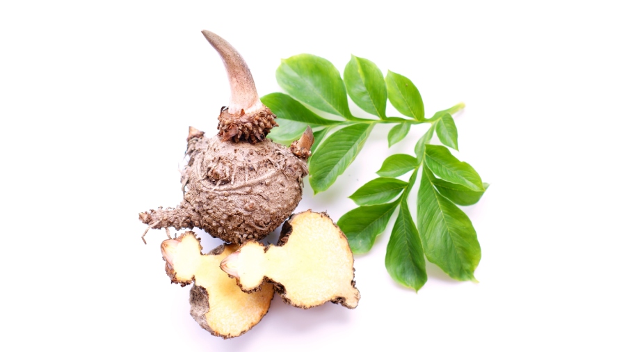 Konjac (glukomannan) - co to jest i jak dawkować? | iZielnik.pl