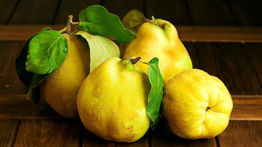 Pigwa - jak wygląda, jakie ma właściwości i przeciwwskazania? | iZielnik.pl