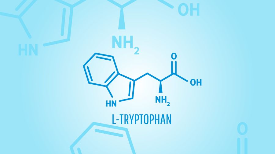 L-tryptofan - działanie, dawkowanie, skutki uboczne | Zielnik.pl